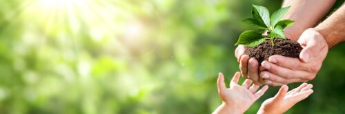 NATURE activities for kids - Outdoor game ideas - Treasure hunt 4 Kids