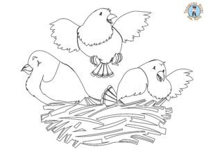 Bird Coloring Page - Free Printables - Treasure hunt 4 Kids