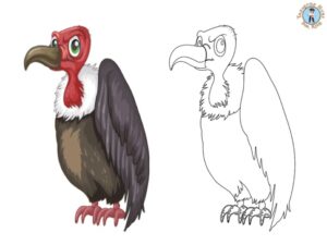 Vulture Coloring Page - Free Printables - Treasure hunt 4 Kids