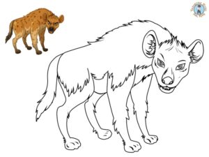 Hyena Coloring Page - Free Printables - Treasure hunt 4 Kids