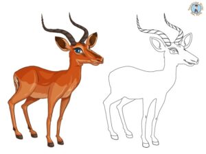 Gazelle Coloring Page - Free Printables - Treasure hunt 4 Kids